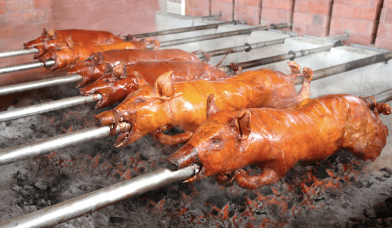 Get Your Fill of Lechon at the Cebu Lechon Festival – Zee Lifestyle
